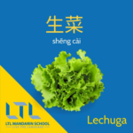 Verduras en Chino || Una Guía Completa de Más de 50 Verduras