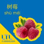 Las Variedades de fruta que encontramos en China - LTL Chino