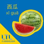 Las Variedades de fruta que encontramos en China - LTL Chino